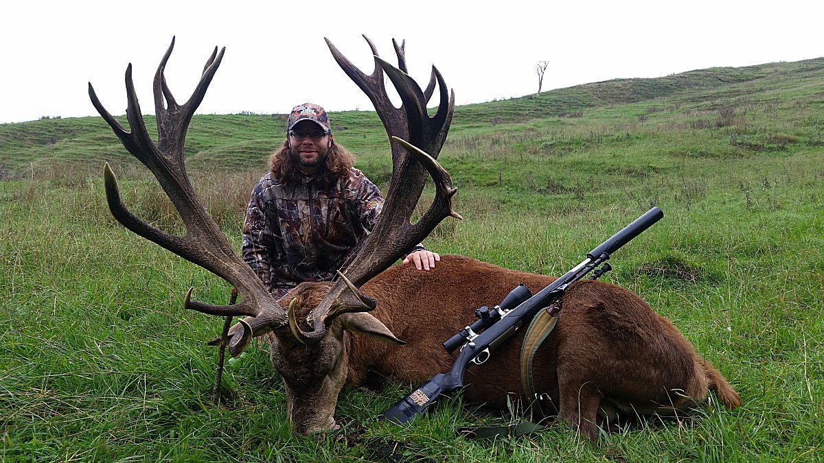 Red stag package gold - Hunting Trips New Zealand